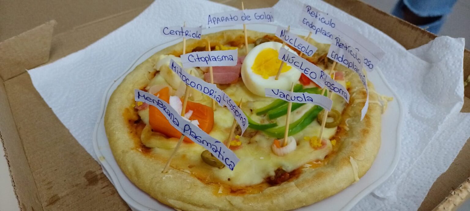 Célula comestible: la tradición de una cátedra del primer año de TGG ...