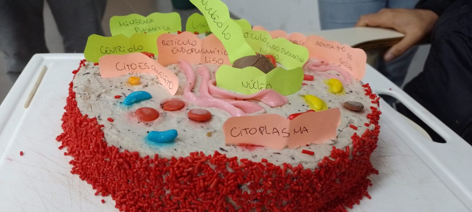 Célula comestible: la tradición de una cátedra del primer año de TGG ...